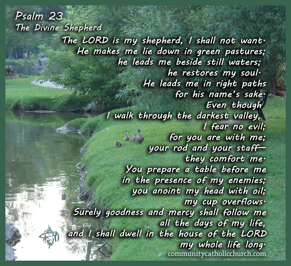 The Divine Shepherd – Journeying with God